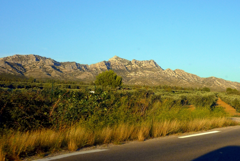 The Alpilles in Provence: A Discovery Guide - French Moments