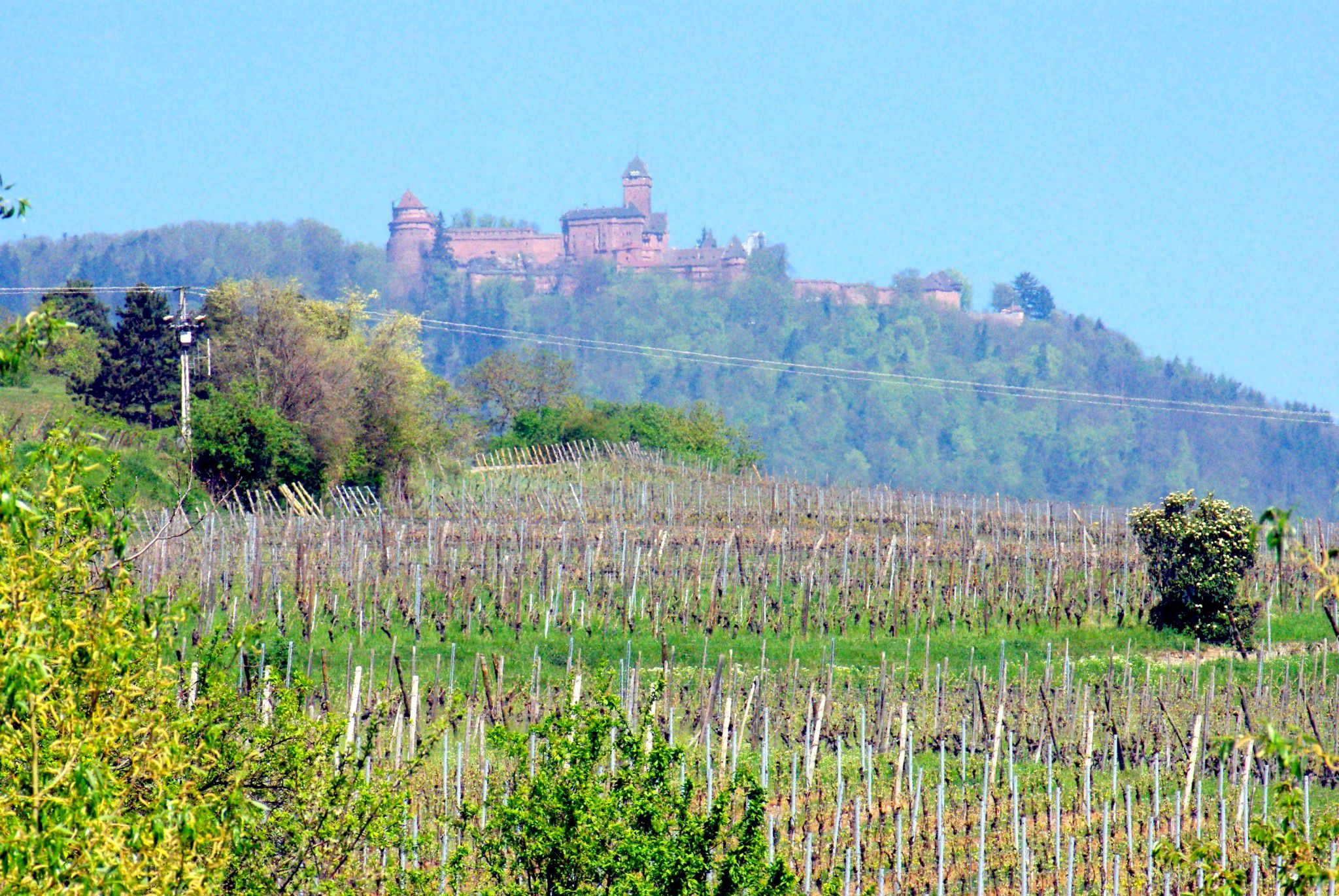 Discover the fortified village of Bergheim, Alsace - French Moments