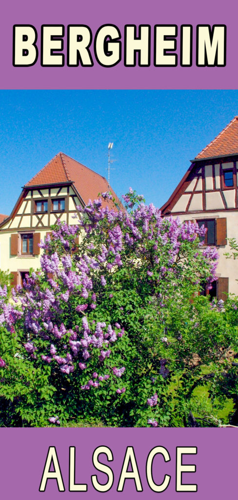 Discover the fortified village of Bergheim in Alsace - French Moments