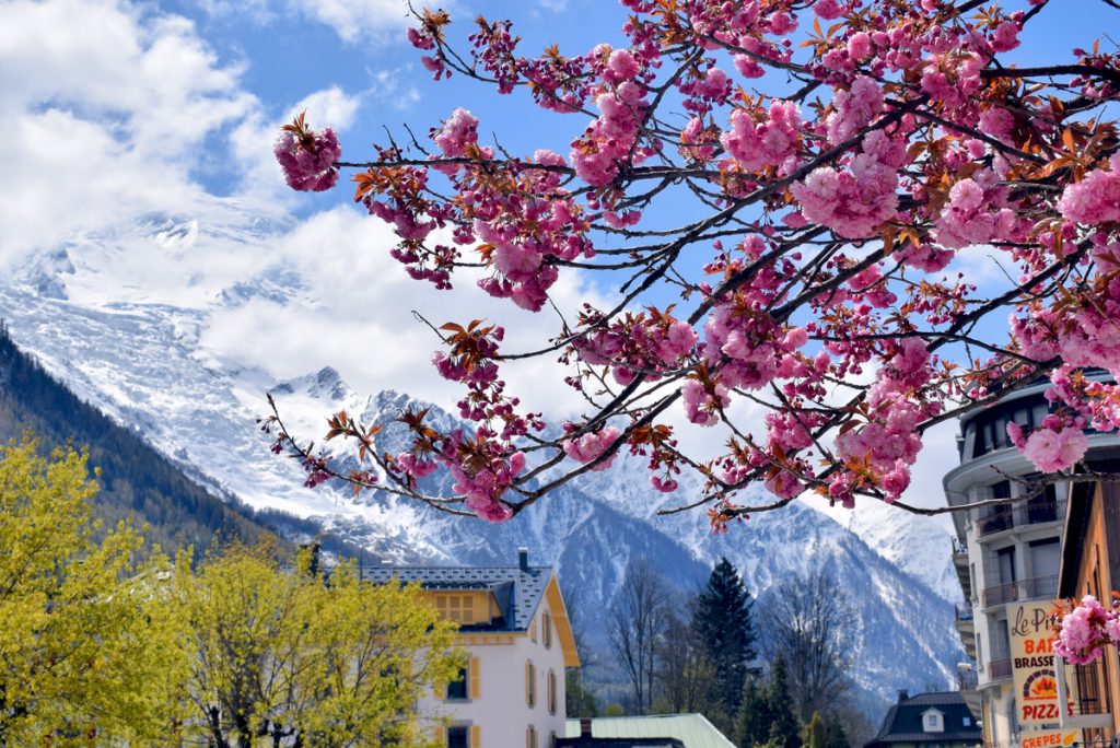 Chamonix Mont Blanc: A Discovery Guide - French Moments