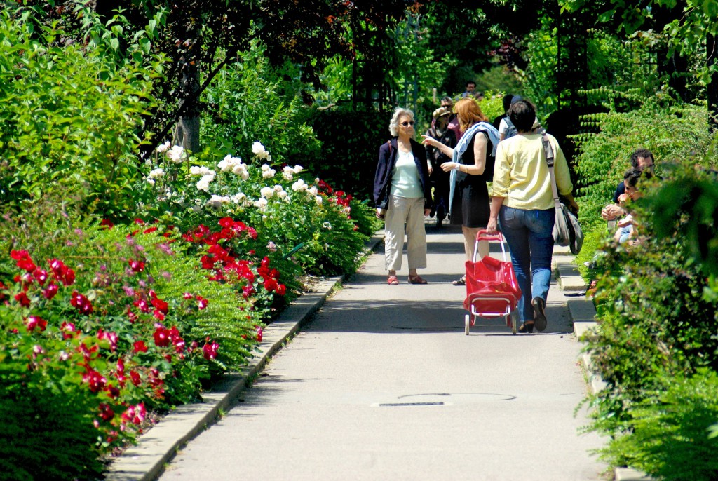 La Promenade Plantée: a lovely stroll in Paris - French Moments