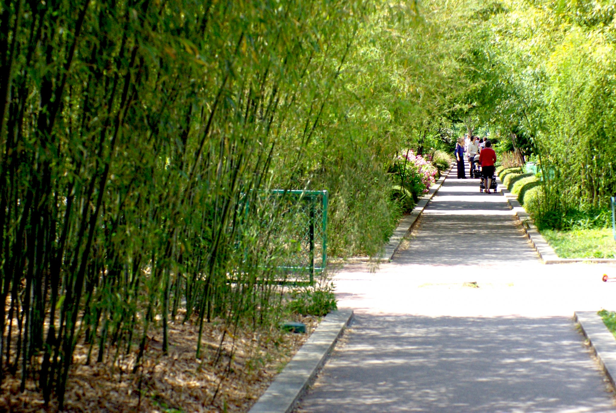 La Promenade Plantée: a lovely stroll in Paris - French Moments