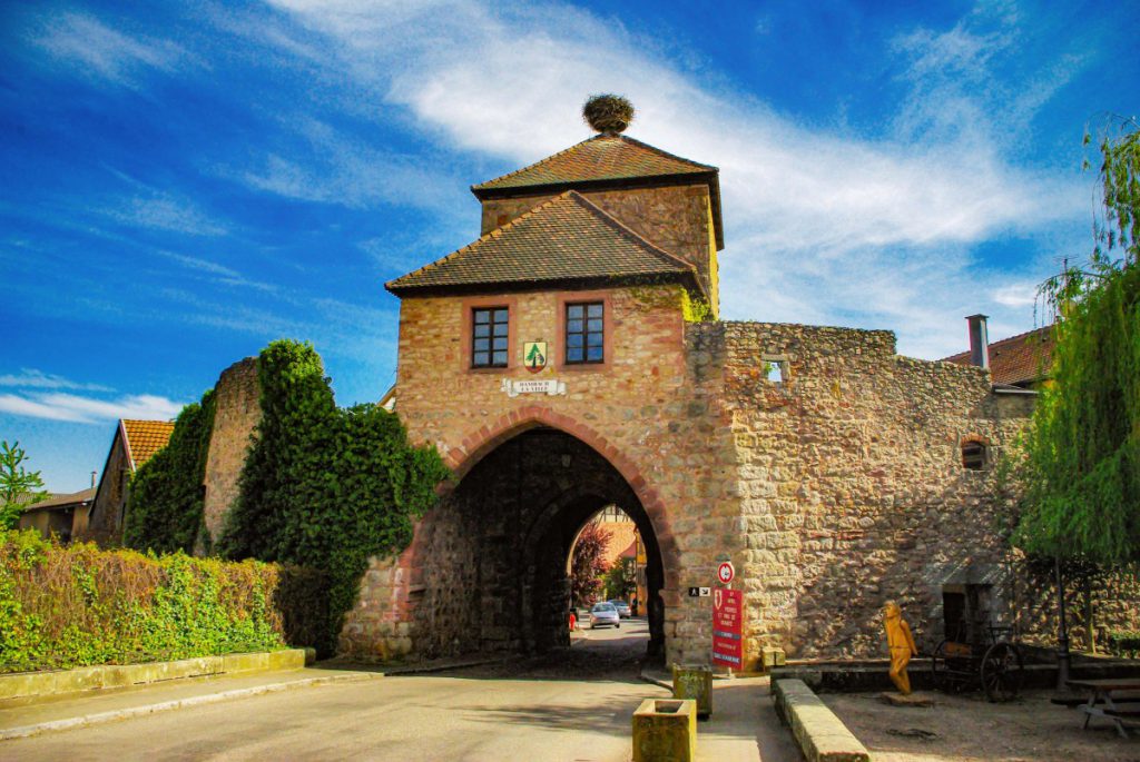 Discover the scenic Alsace Wine Route - French Moments