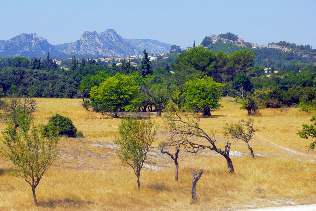 The Alpilles in Provence: A Discovery Guide - French Moments