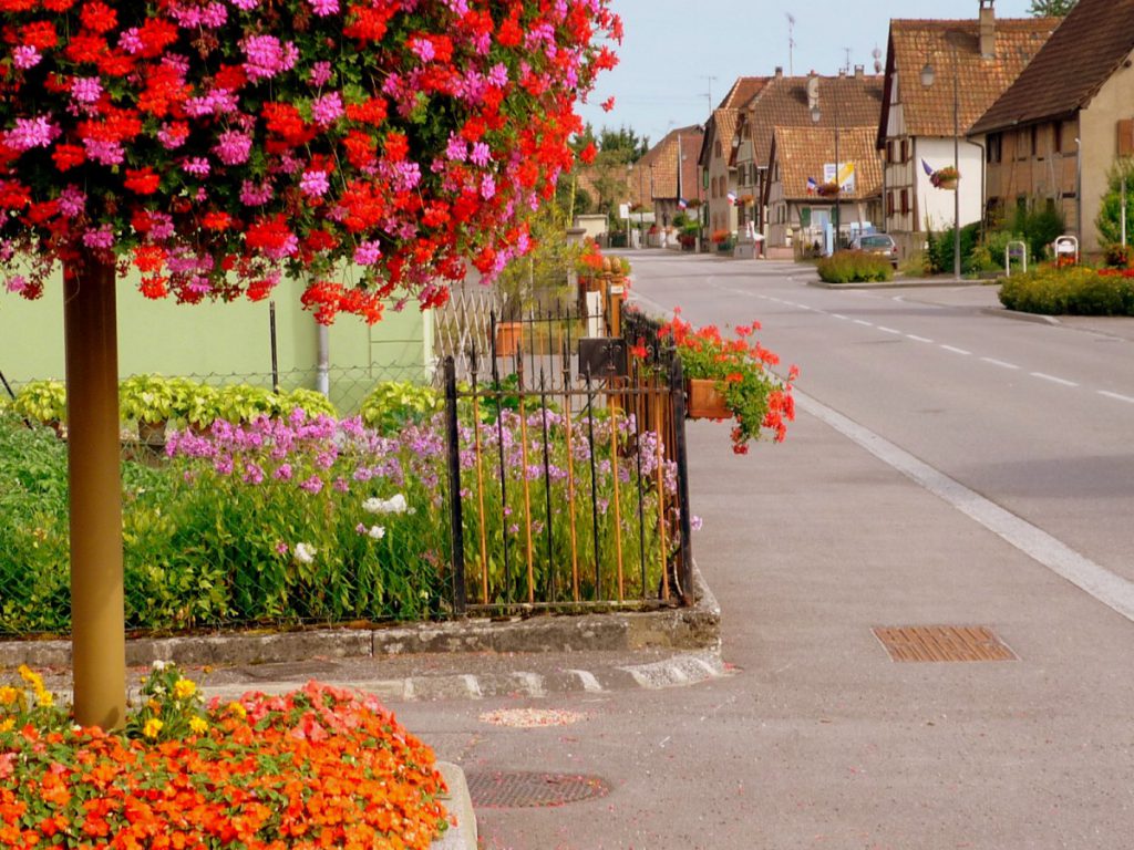 Discover the Sundgau in Alsace - French Moments