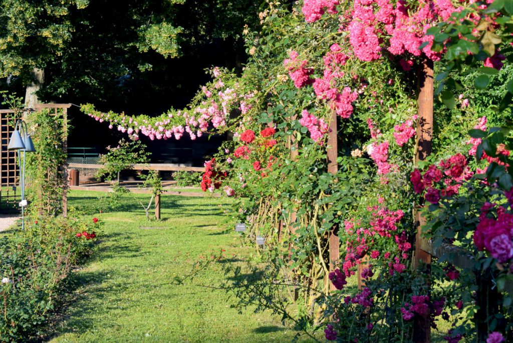 Things to see in the Parc de la Pépinière, Nancy - French Moments