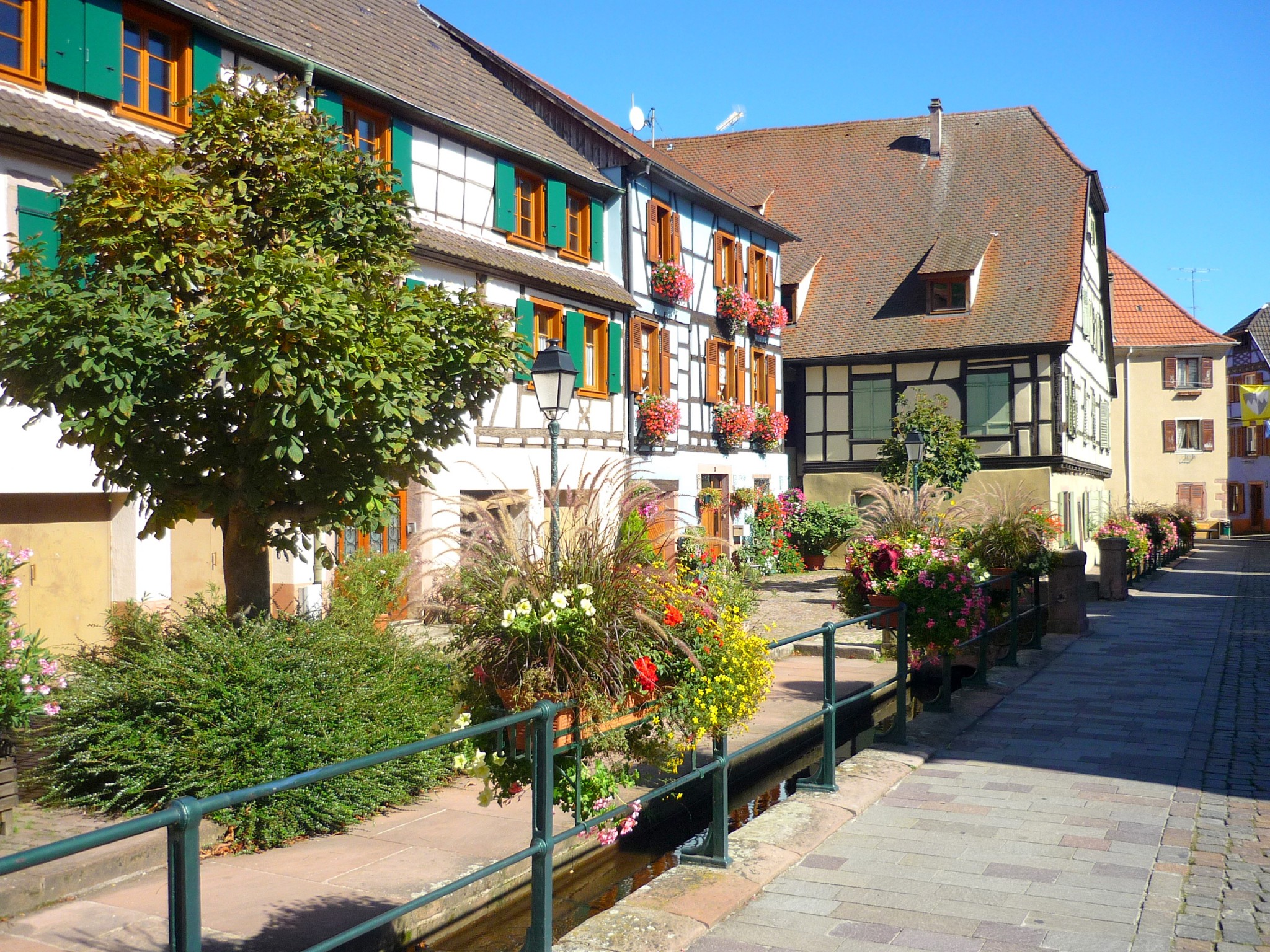 What you should see in Ribeauvillé, Alsace - French Moments