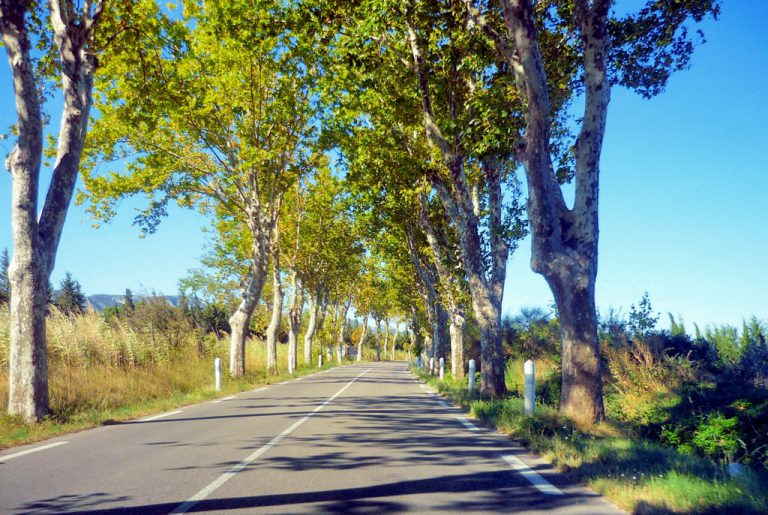 Why the French Countryside Should Be on Your Travel List - French Moments