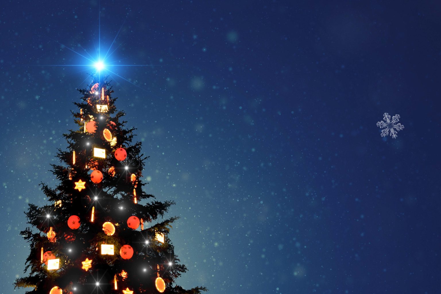 The Top Traditions of the French Christmas Tree - French Moments