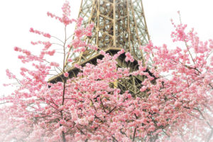 The Seasons of the Year in France Explained - French Moments