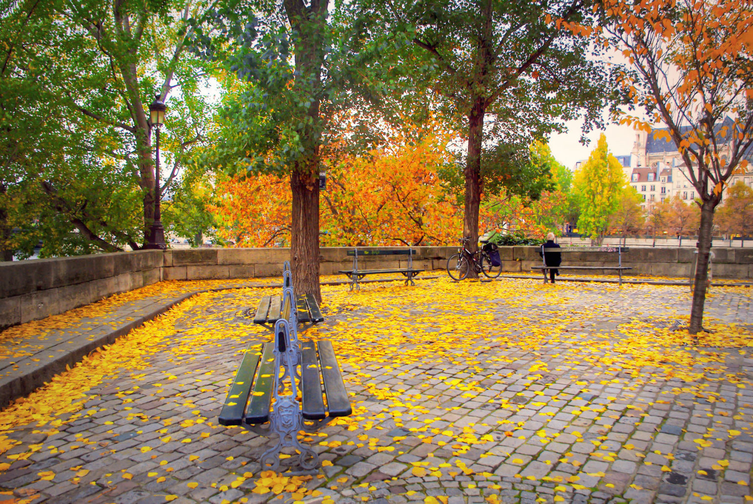 All there is to know about Autumn in France - French Moments