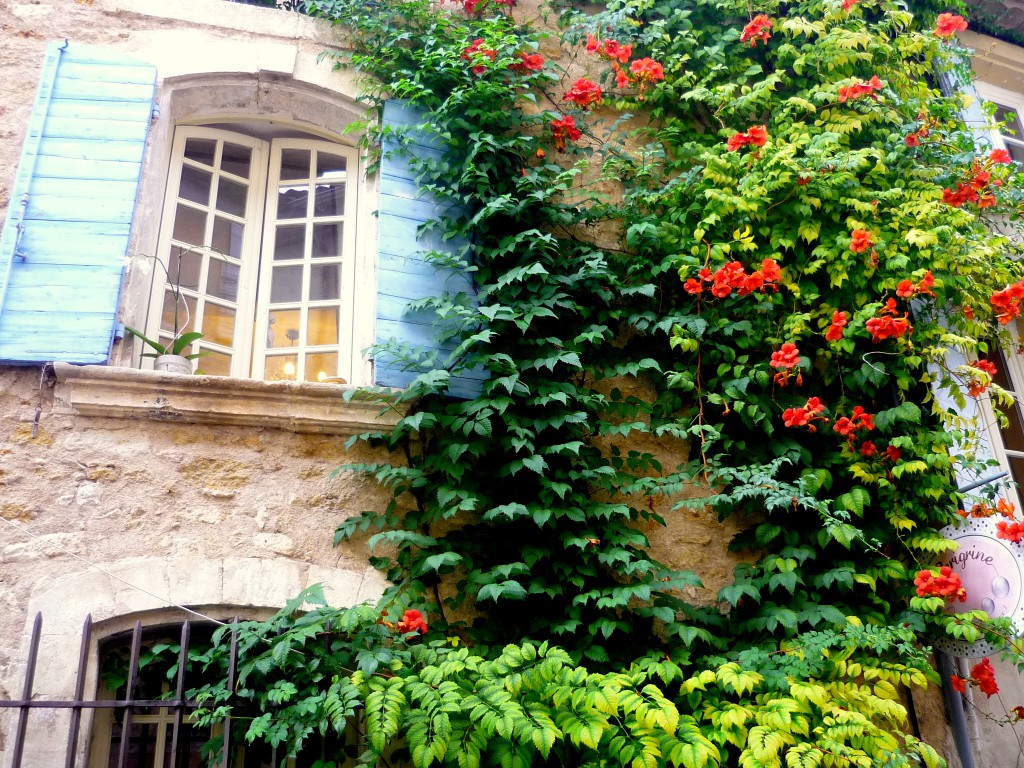 The cultural highlights of Provence - French Moments