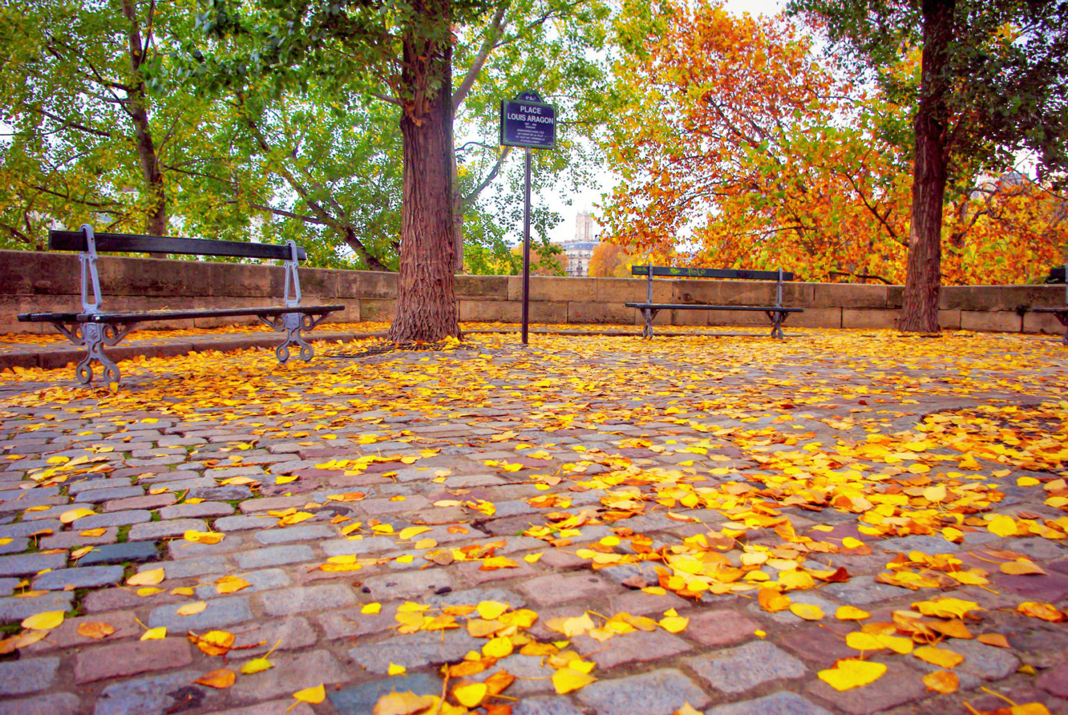 All there is to know about Autumn in France - French Moments