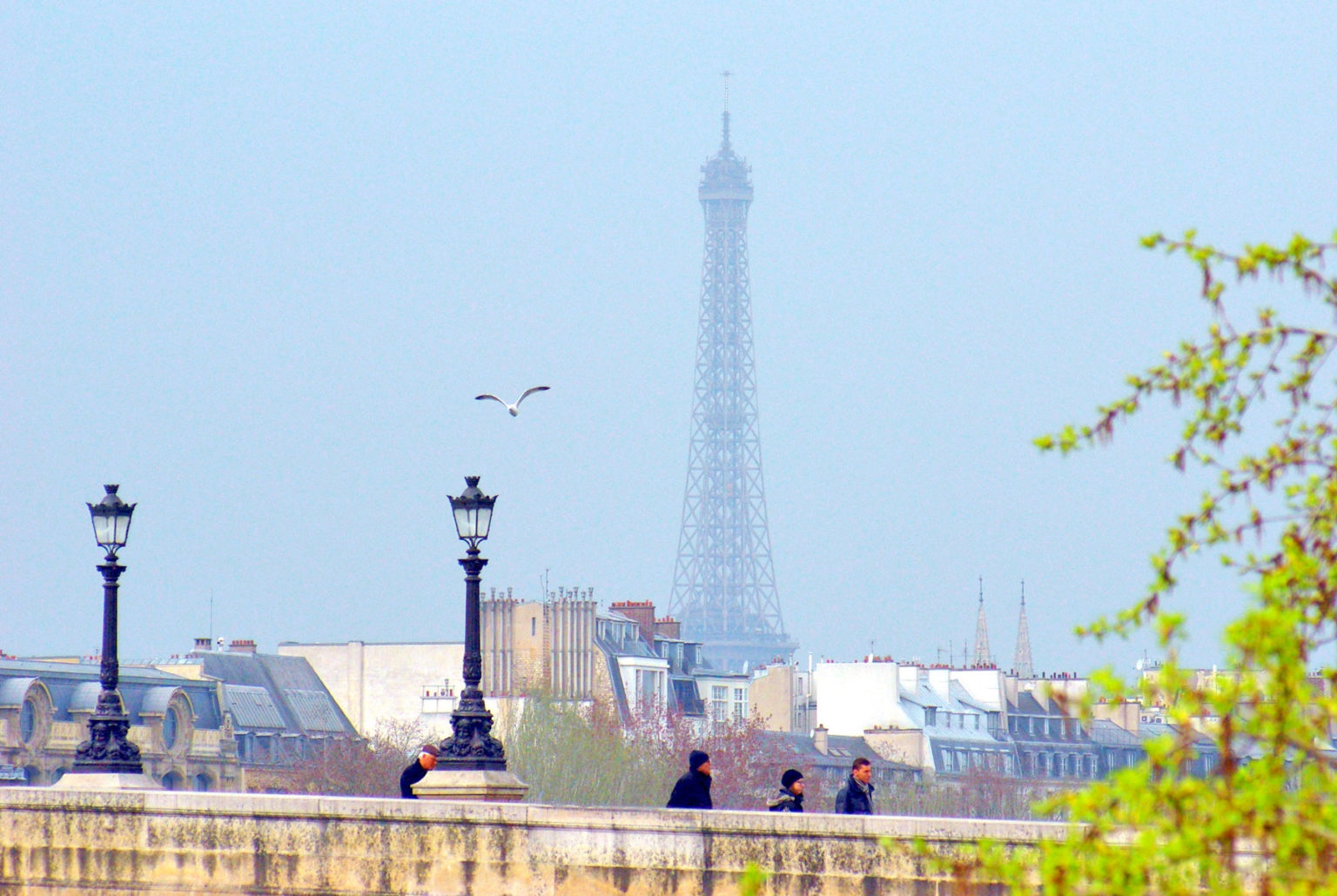 Discover the Quais de la Seine: Paris's Timeless Treasure - French Moments