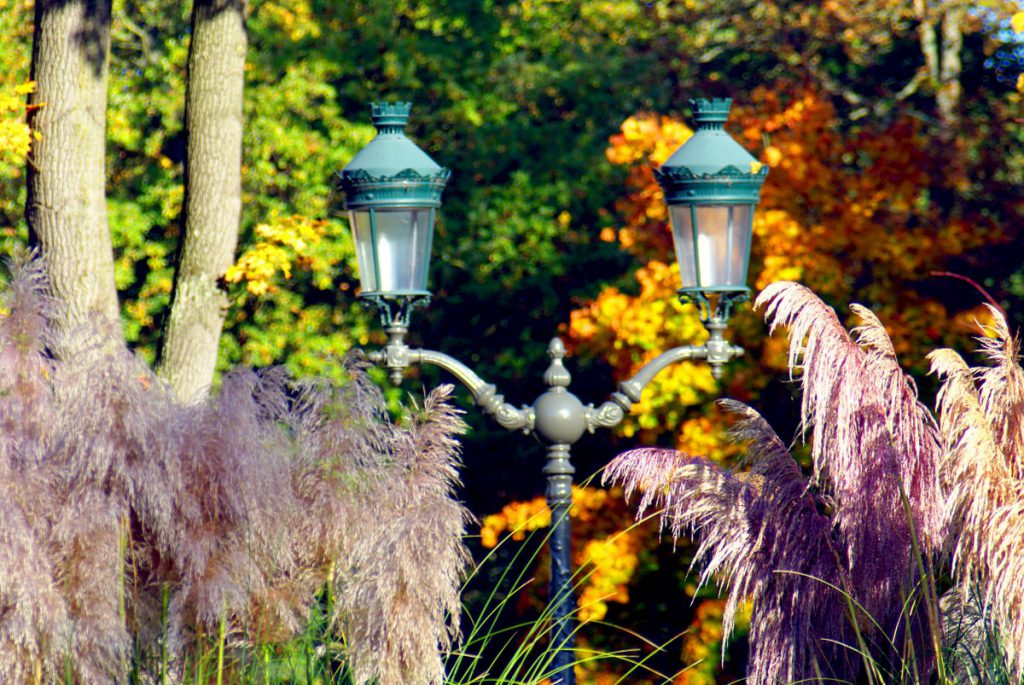 All there is to know about Autumn in France - French Moments