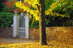 All there is to know about Autumn in France - French Moments