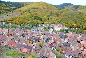 The little guide to half-timbered houses in Alsace - French Moments