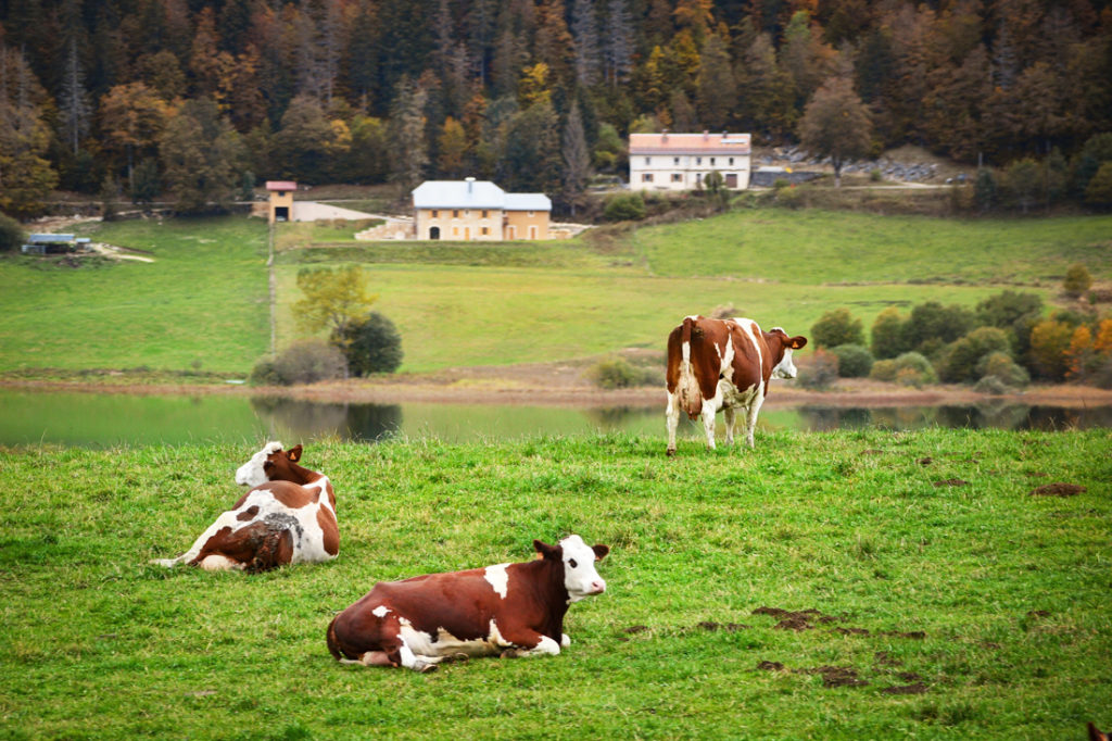 50 Most Beautiful Photos of Autumn in France - French Moments