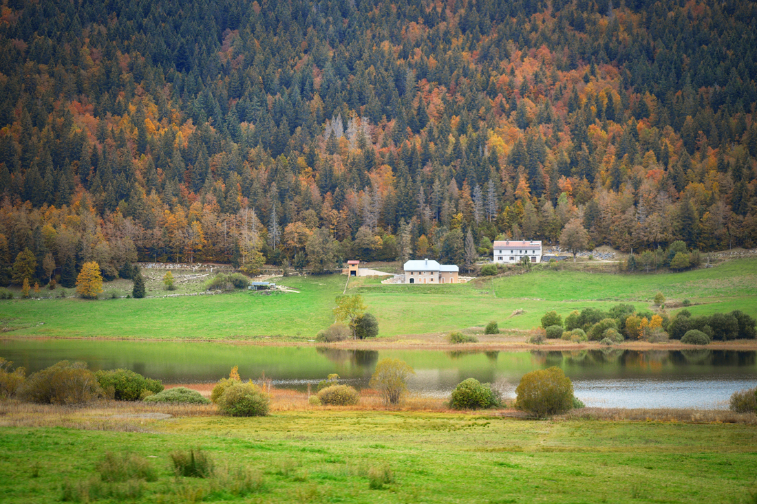 All there is to know about Autumn in France - French Moments