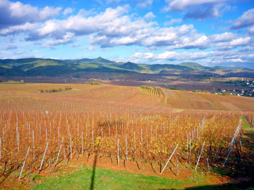 All there is to know about Autumn in France - French Moments