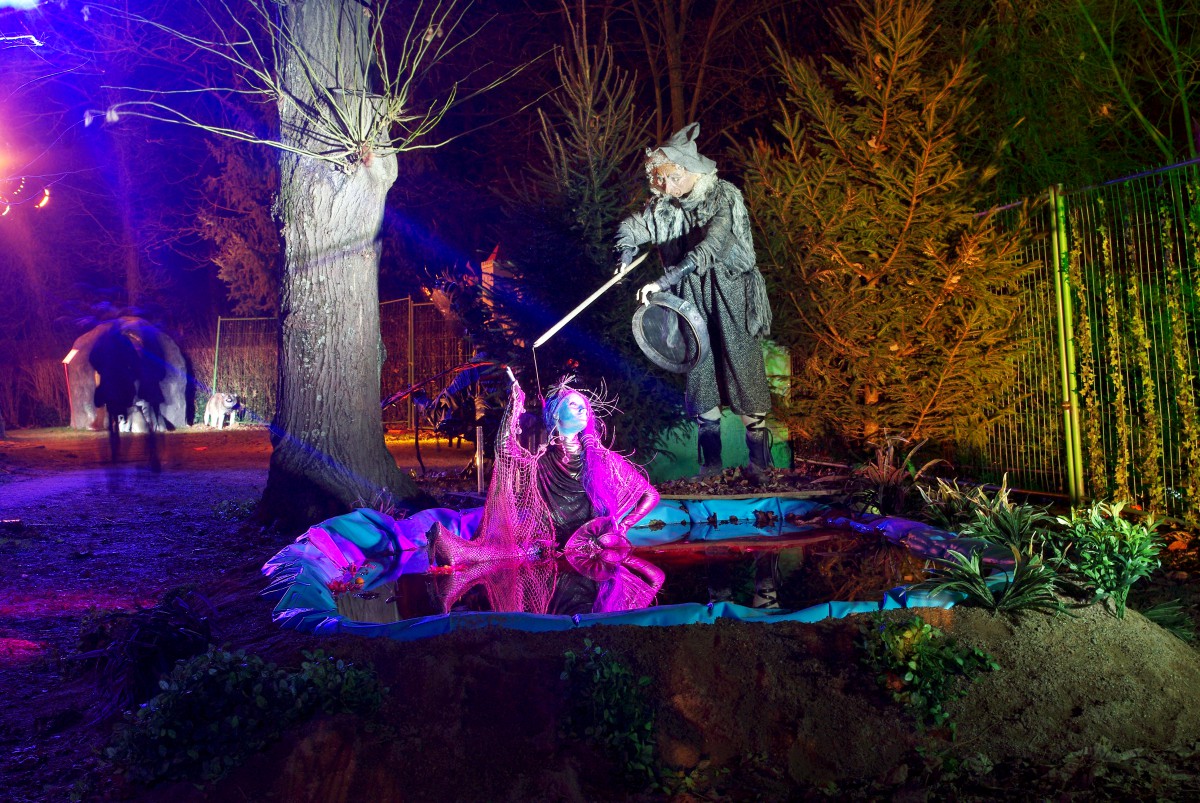 Discover the Foret Enchantee of Altkirch, Alsace - French Moments