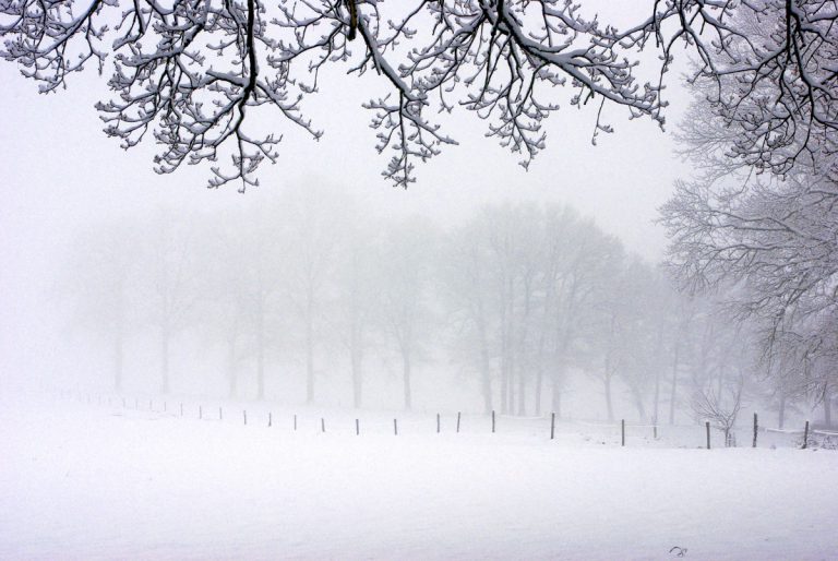 All there is to know about Winter in France - French Moments