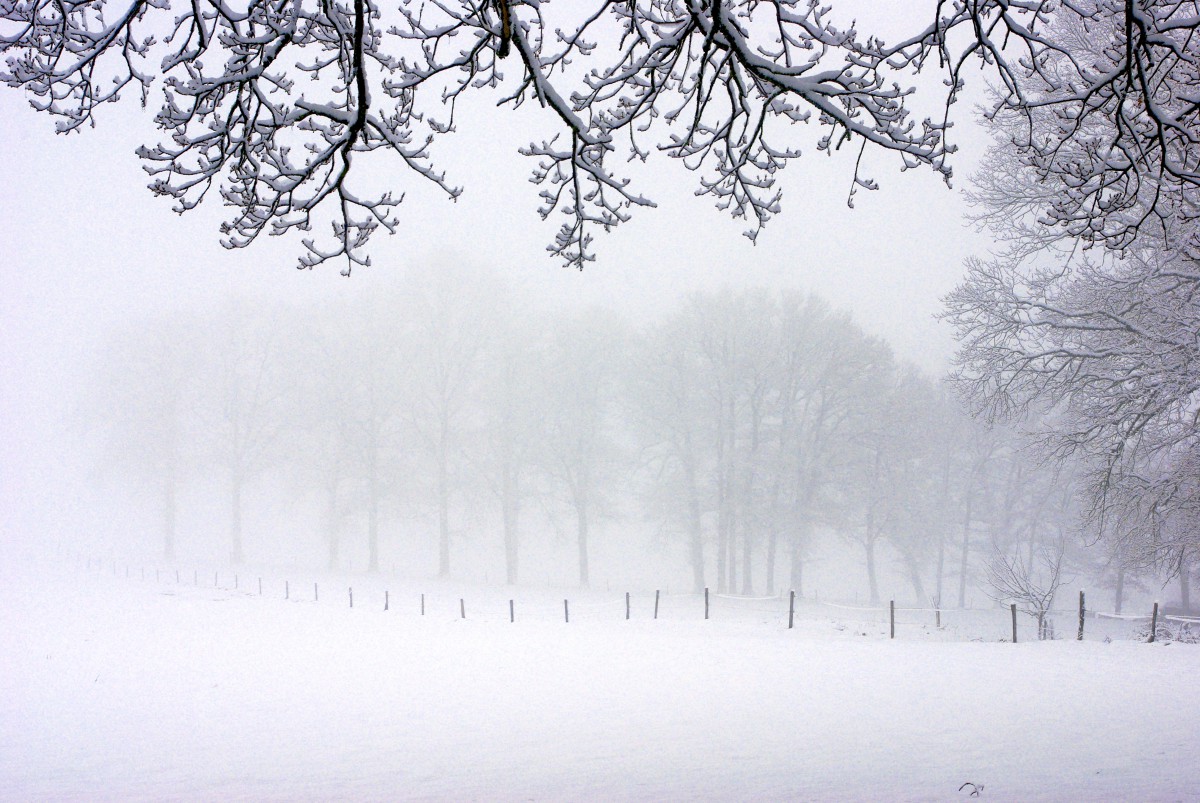 All there is to know about Winter in France - French Moments