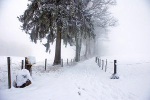 A photographic journey to a French Winter Wonderland - French Moments