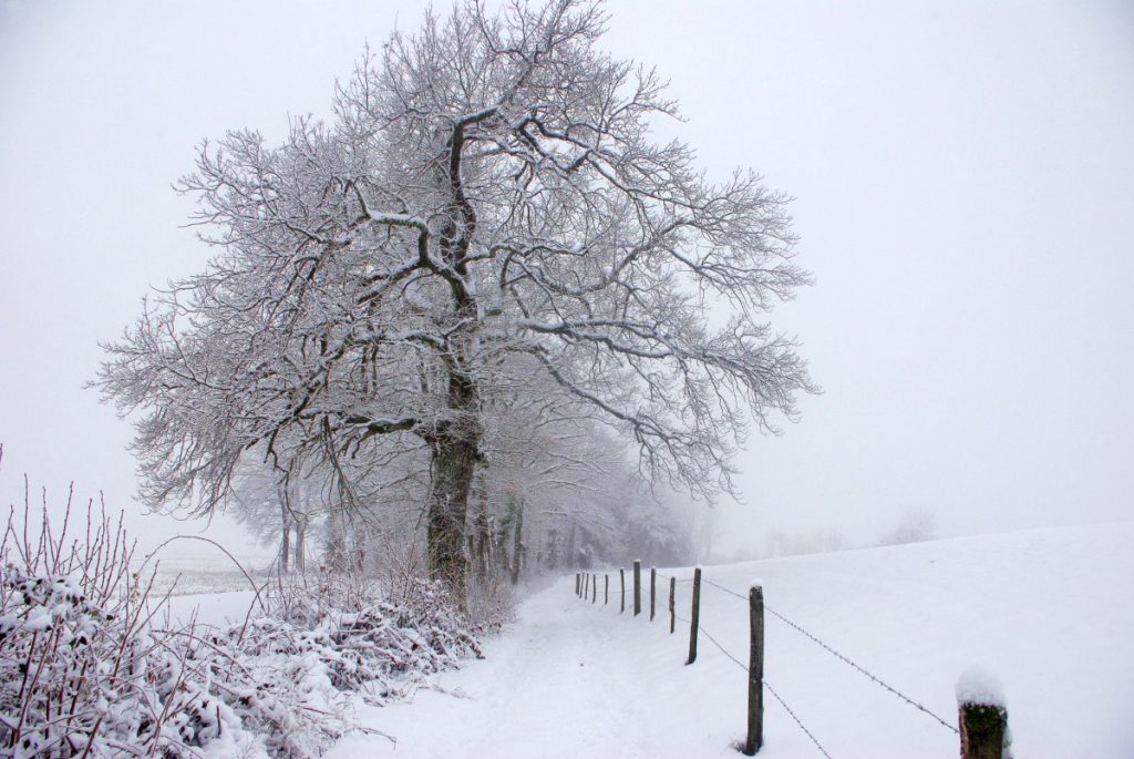 A photographic journey to a French Winter Wonderland - French Moments