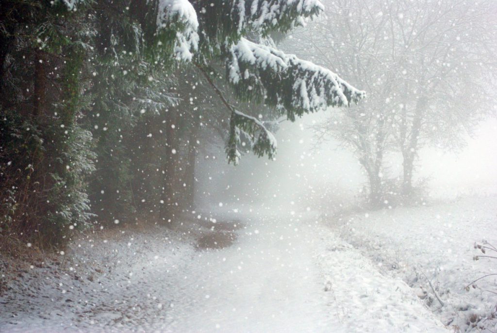A photographic journey to a French Winter Wonderland - French Moments