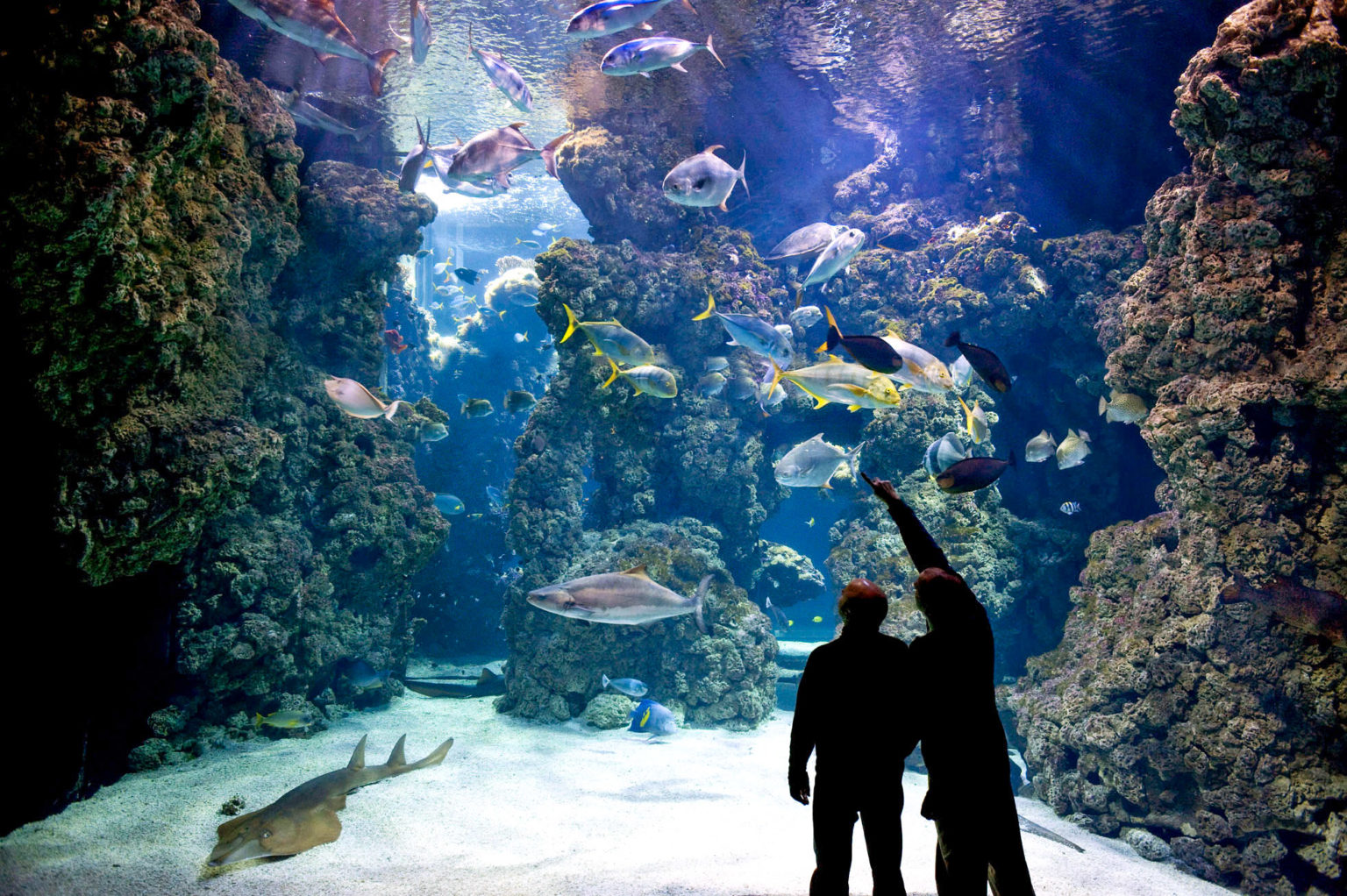 Principality of Monaco: A Discovery Guide - French Moments