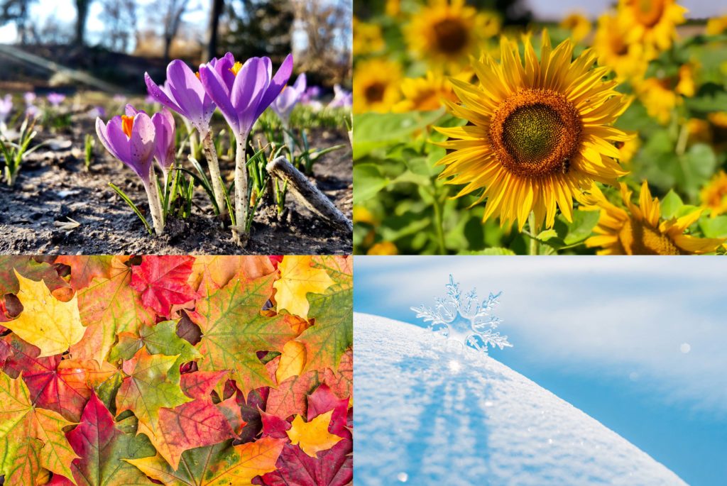 The Seasons of the Year in France Explained - French Moments