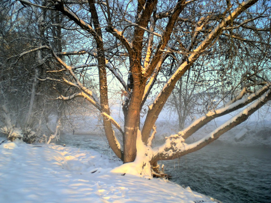 The Seasons of the Year in France Explained - French Moments