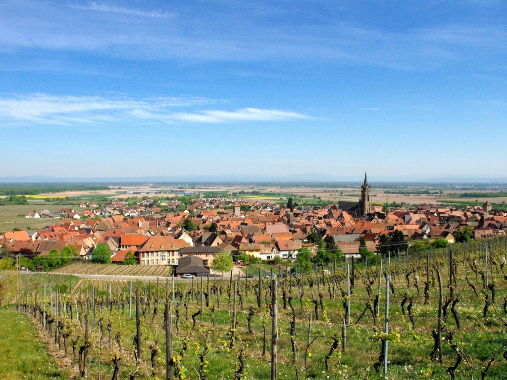 Dambach-la-Ville: a fortified town in Alsace - French Moments
