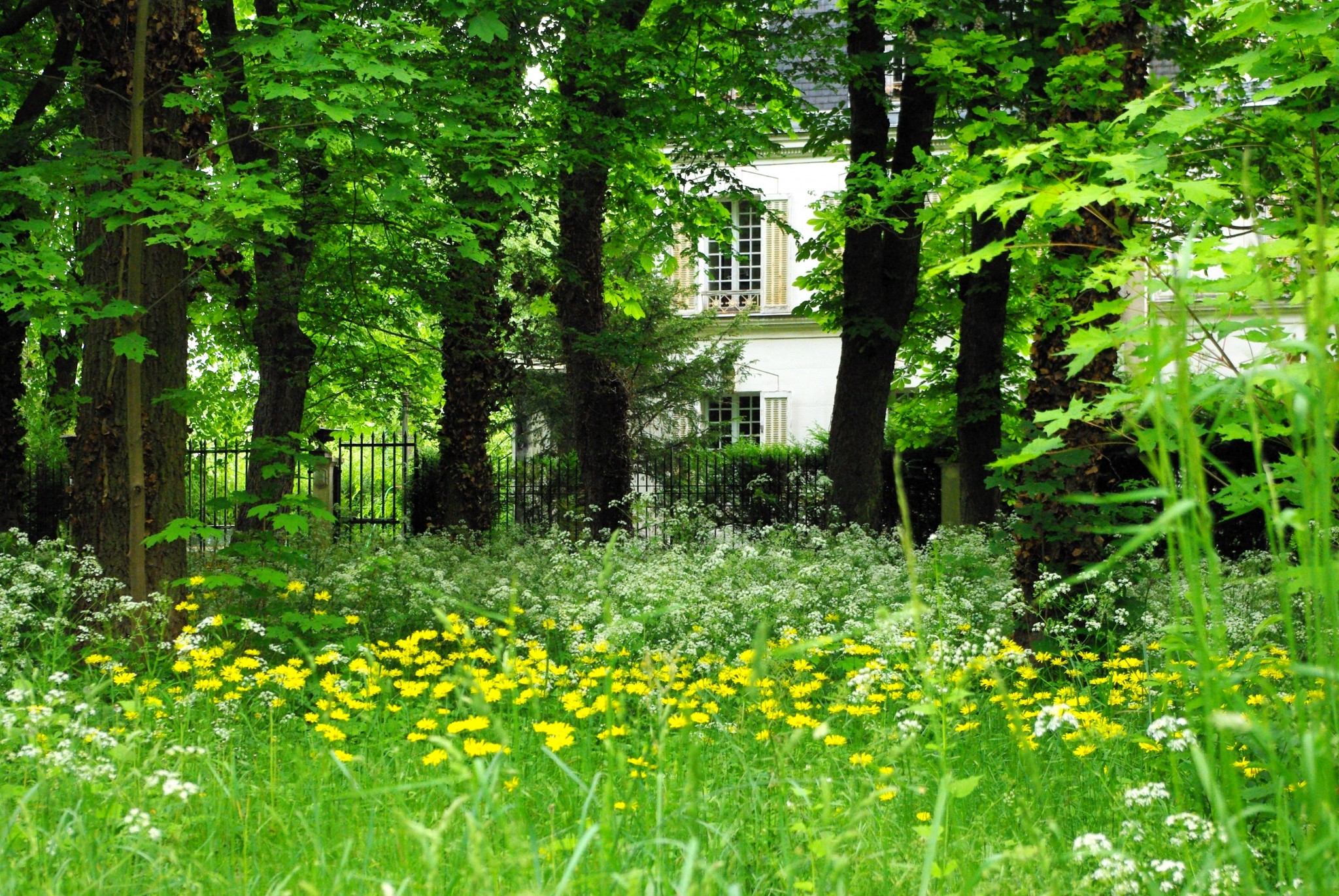 Discover Maisons-Laffitte in the Paris region - French Moments