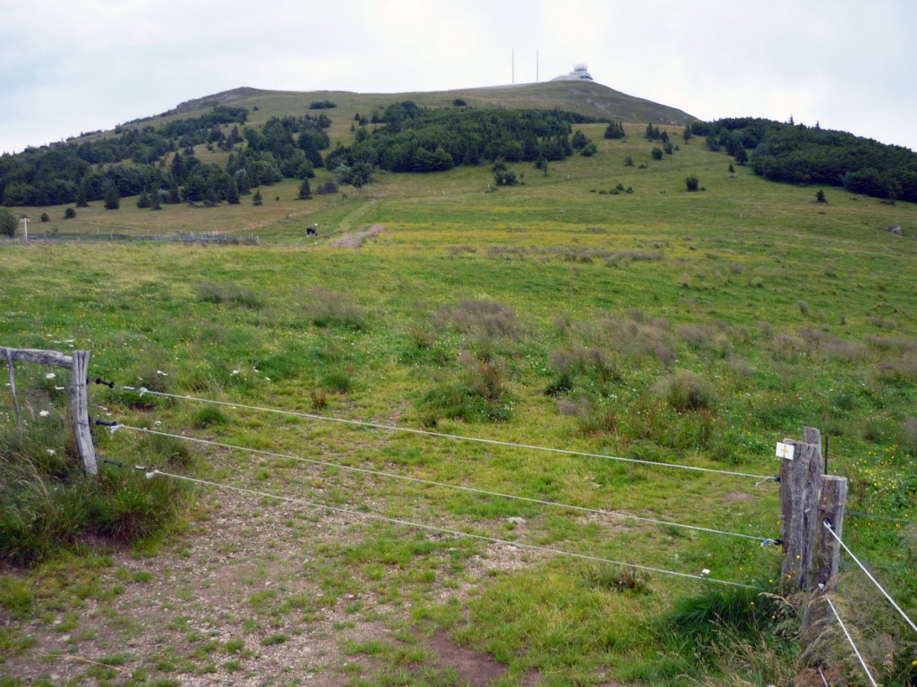 The summit of the Grand-Ballon in the Vosges - French Moments