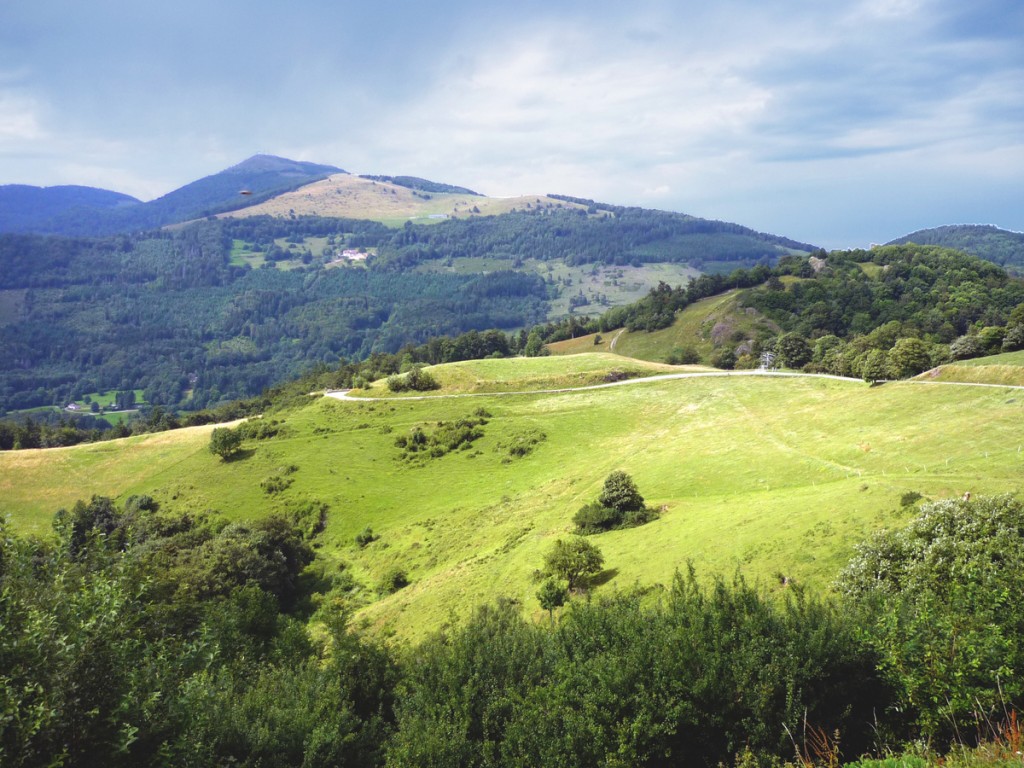 Perché visitare i Vosgi | Tanger