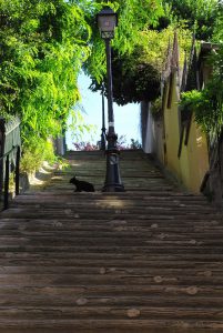 Explore the unusual streets of La Campagne à Paris - French Moments