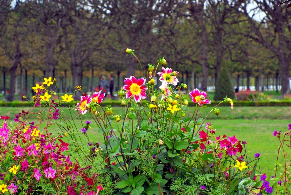 All there is to know about Autumn in France - French Moments