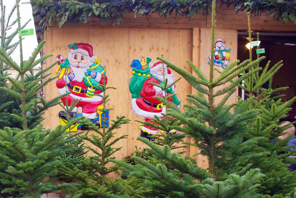 Facts and Figures about Christmas Trees in France - French Moments