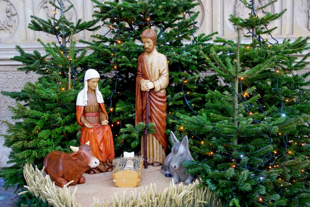 Nativity Scene at Notre-Dame Cathedral, Paris - French Moments