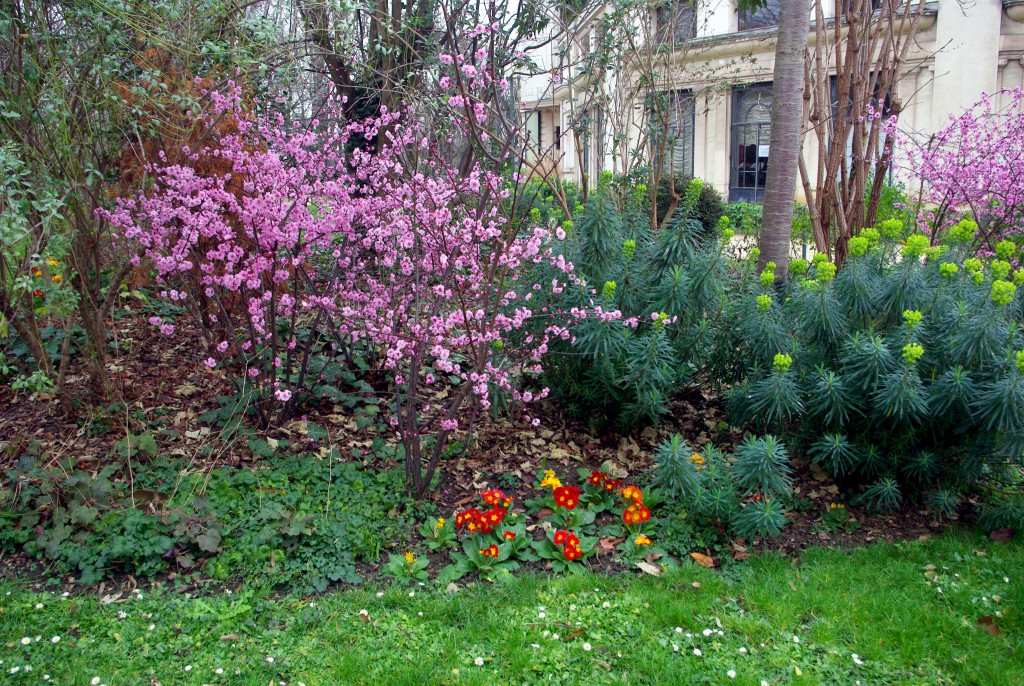 February in Paris: First Signs of Spring in the Gardens - French Moments