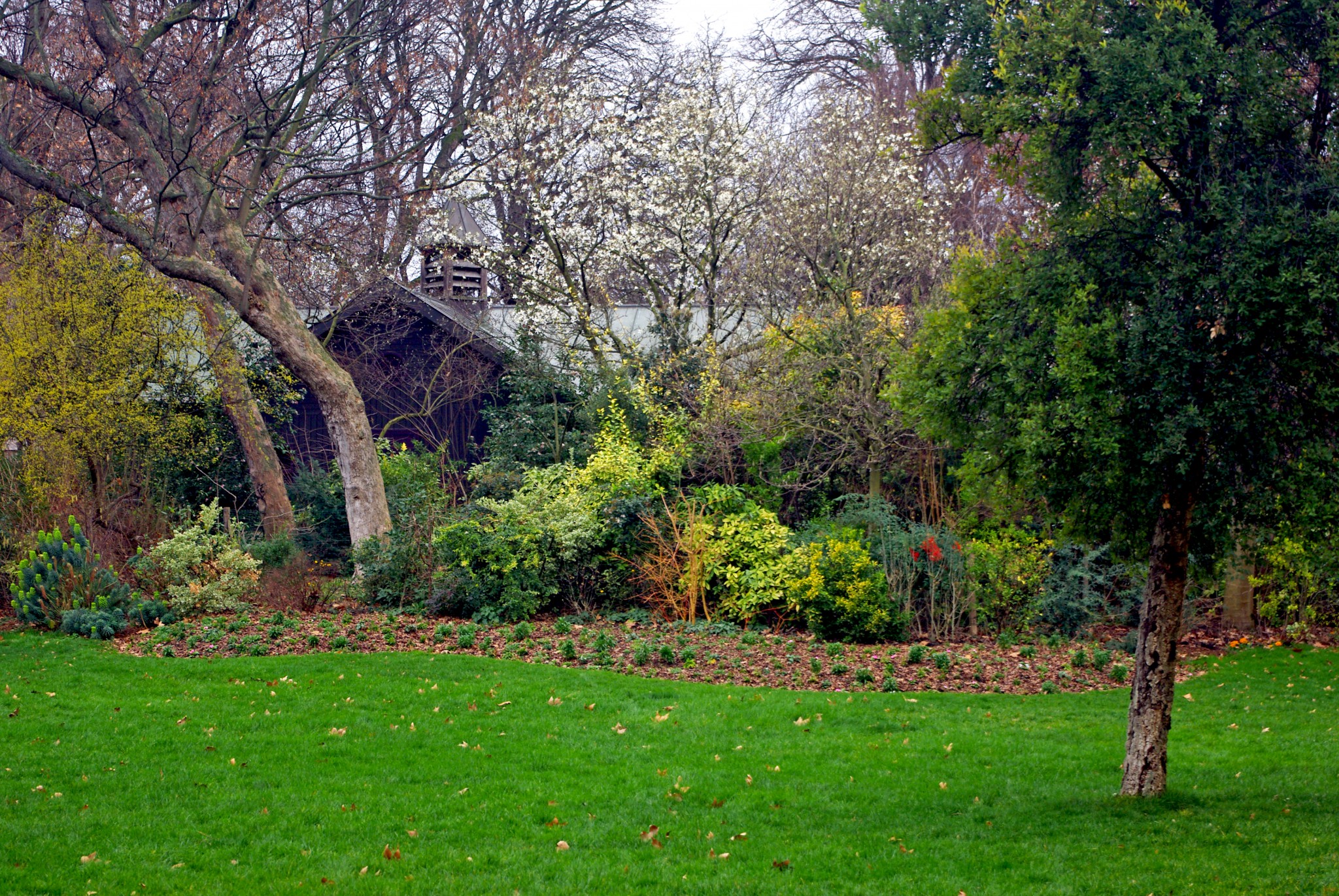February in Paris: First Signs of Spring in the Gardens - French Moments