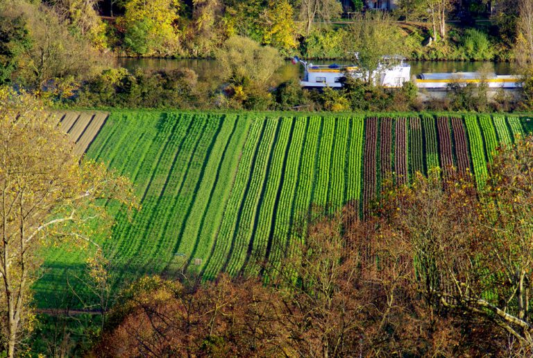 Why the French Countryside Should Be on Your Travel List - French Moments