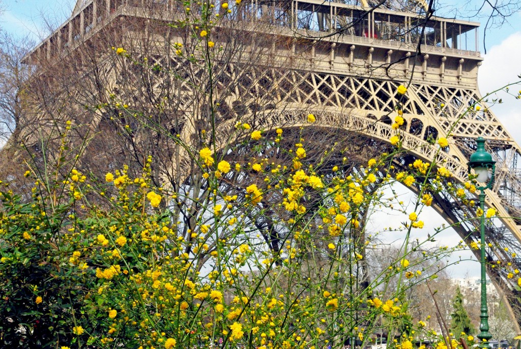 Our tips to enjoy Paris in the Spring - French Moments