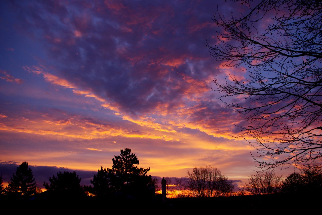 Fantastic April Sunrise in Maisons-Laffitte - French Moments