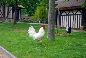 Why the French Countryside Should Be on Your Travel List - French Moments