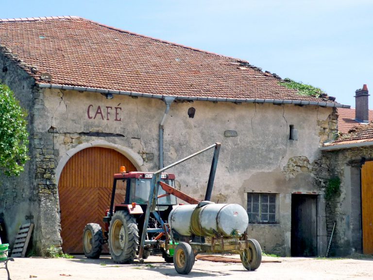 Le vieux MacDonald - French Moments