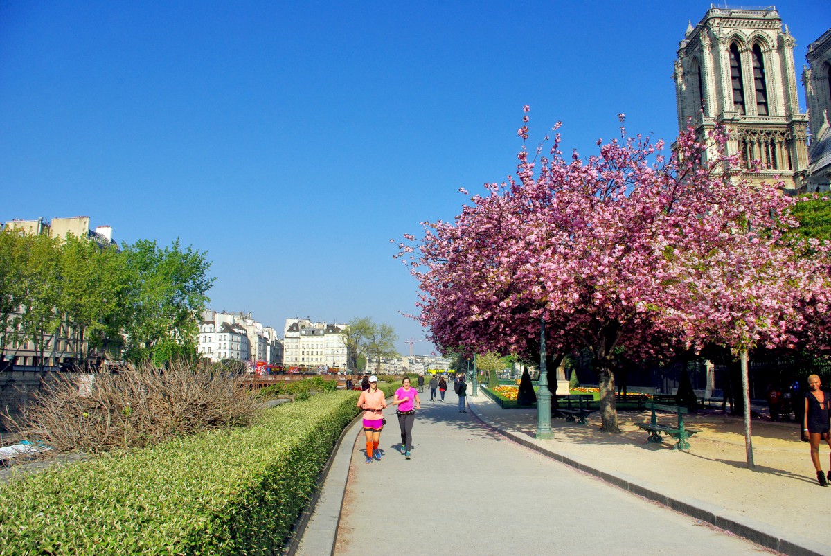 Things you should know about Square Jean-XXIII, Paris - French Moments