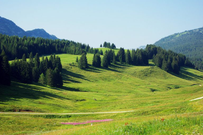 What we discovered in the Glieres Plateau - French Moments